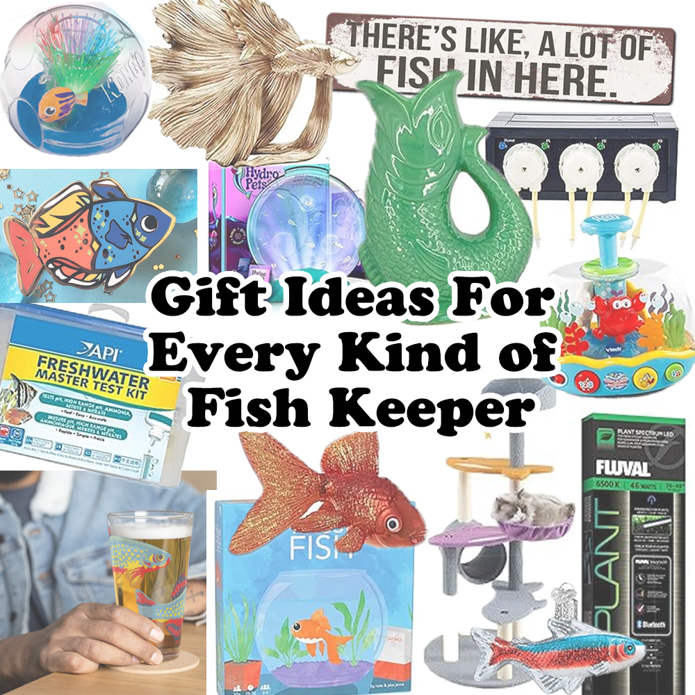 Gift Ideas for Every Kind of Fish Keeper | Windy City Aquariums