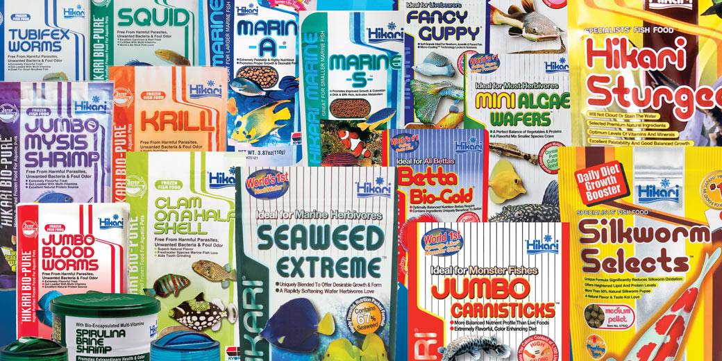 Shop Hikari Brand Products | Windy City Aquariums
