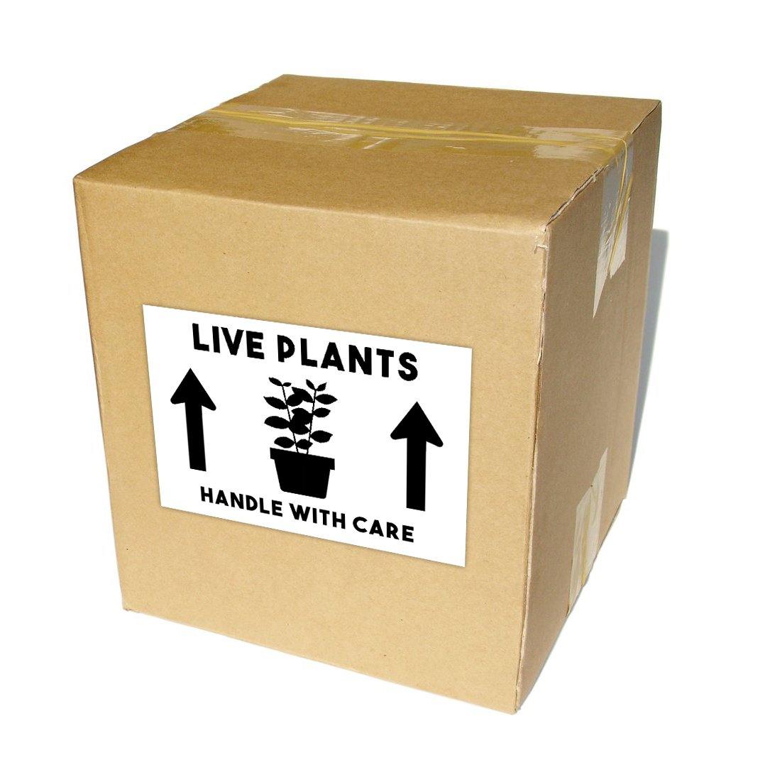Live Plants Shipping Label | Windy City Aquariums