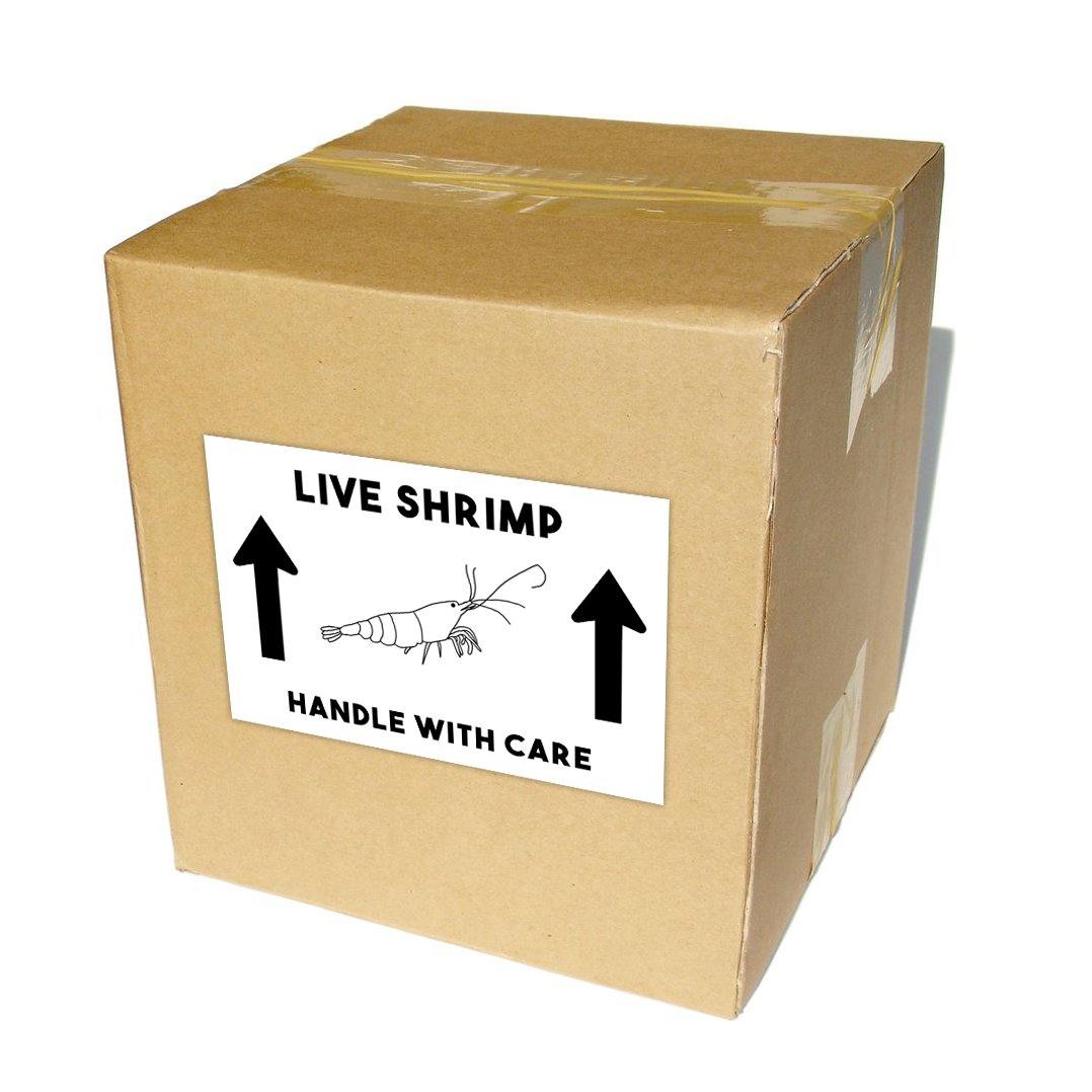 Live Shrimp Shipping Labels | Windy City Aquariums